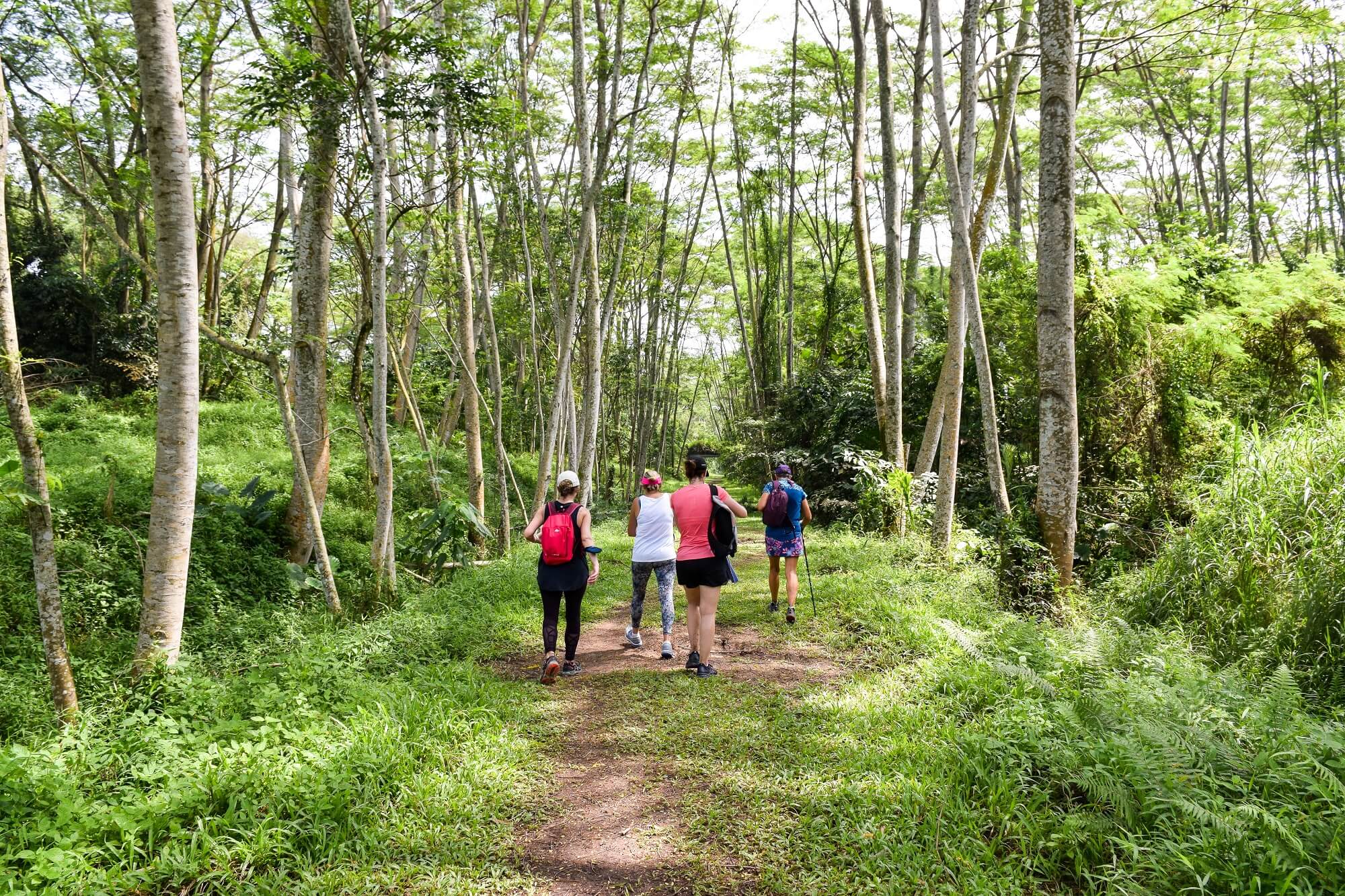 Exploring Singapore’s Rail Corridor with ANZA’s Walking Group » ANZA