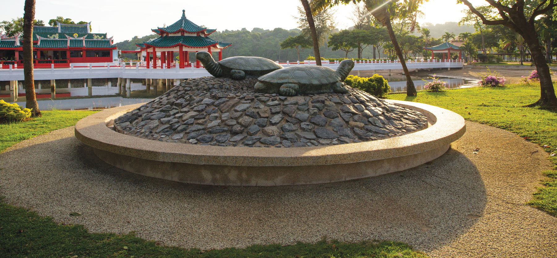 Why everyone is heading to Kusu this week | ANZA